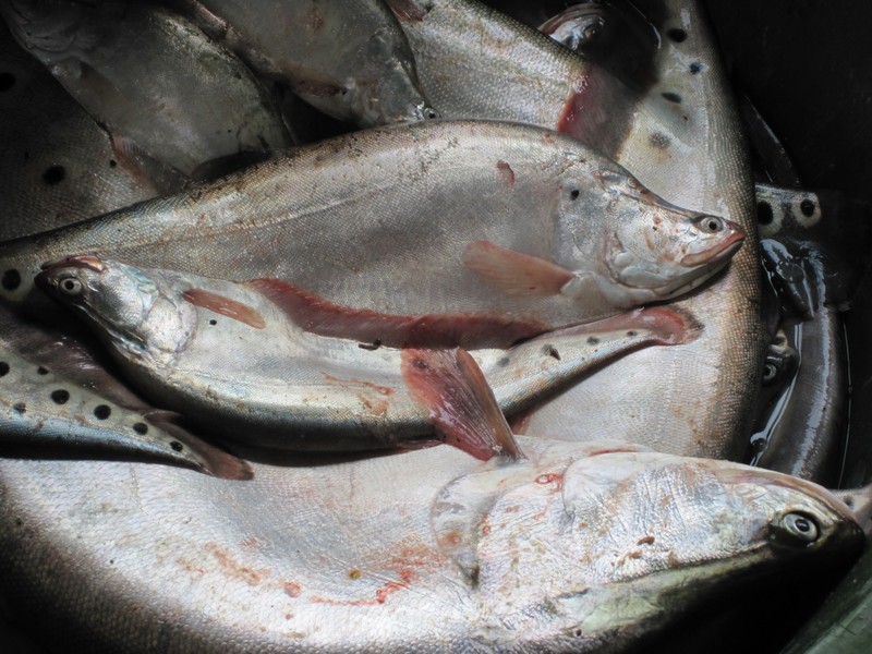 tungo sa kawalan: eve of the storm