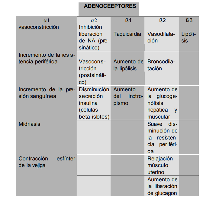 ESTRATEGIAS DE INTERVENCIÓN CARDIOPULMONAR : AEROSOLTERAPIA Y ...