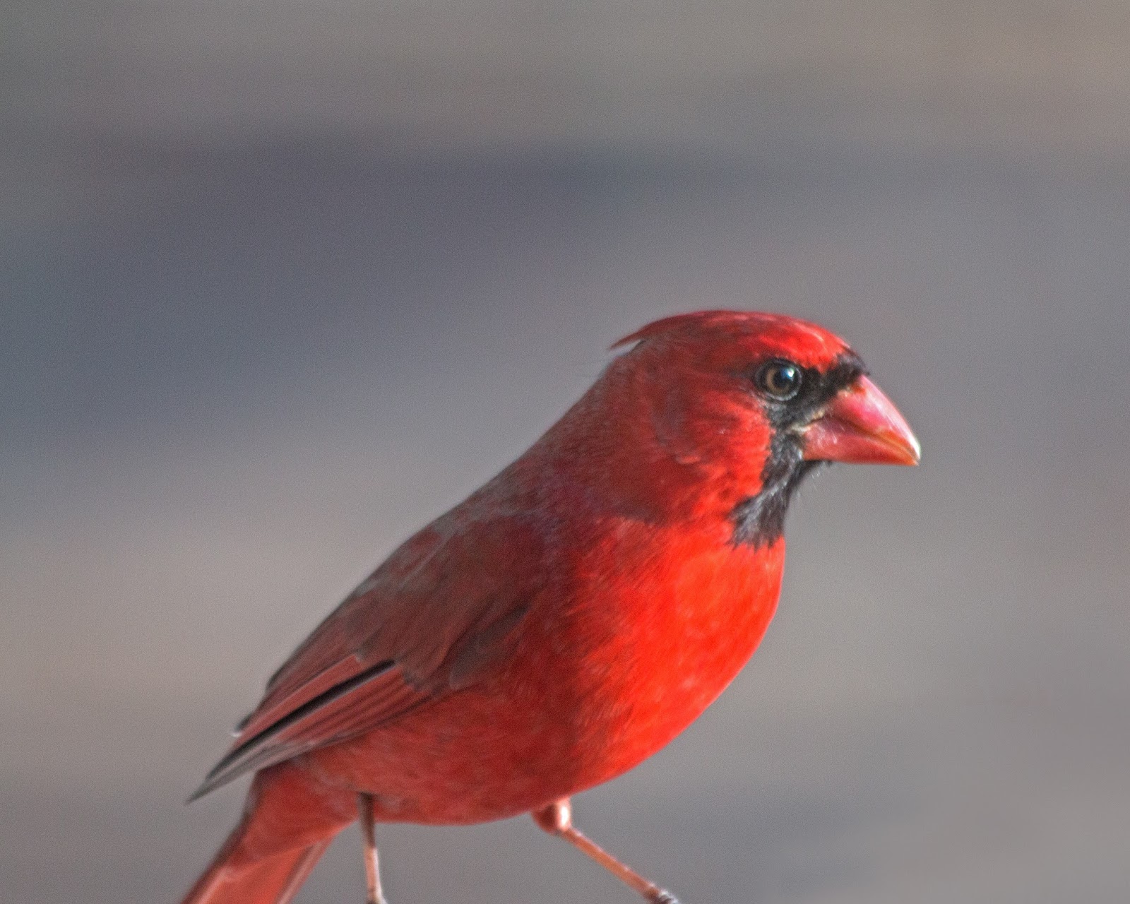 Room Without Walls: In A Rush the Season Moves On