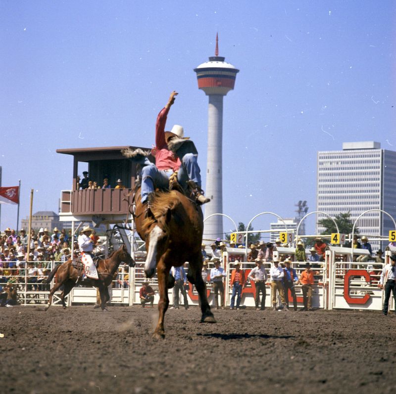 The Calgary Stampede: One of the Largest Outdoor Rodeos in the World ...