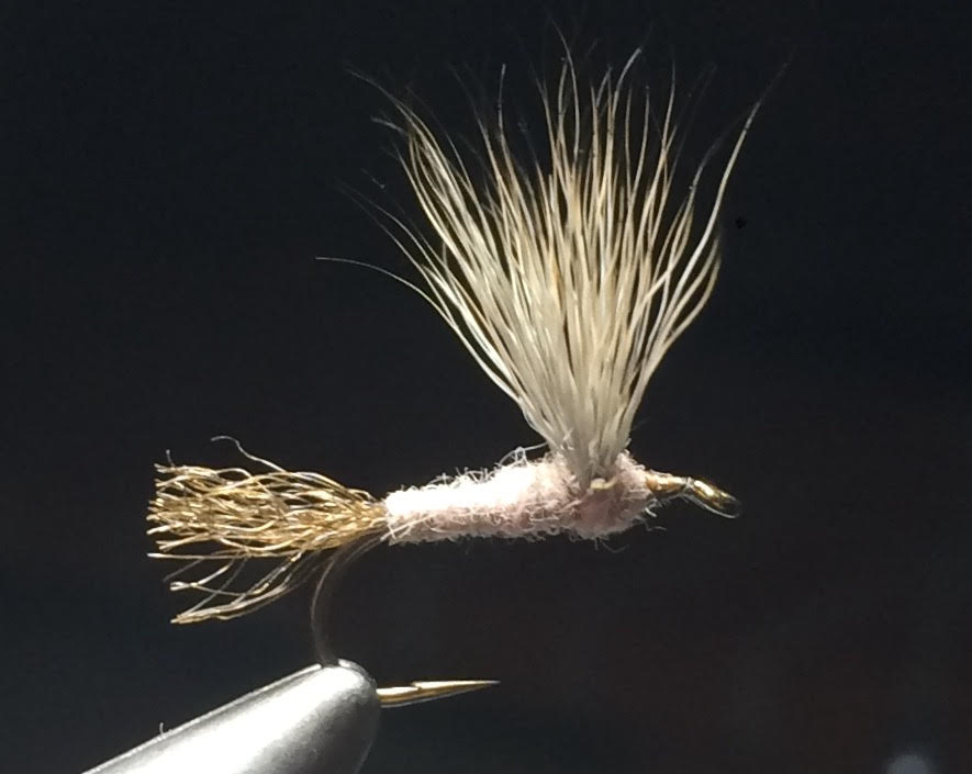 Caddis Chronicles: Winter? Spring? Fly Tying Is Where It's At