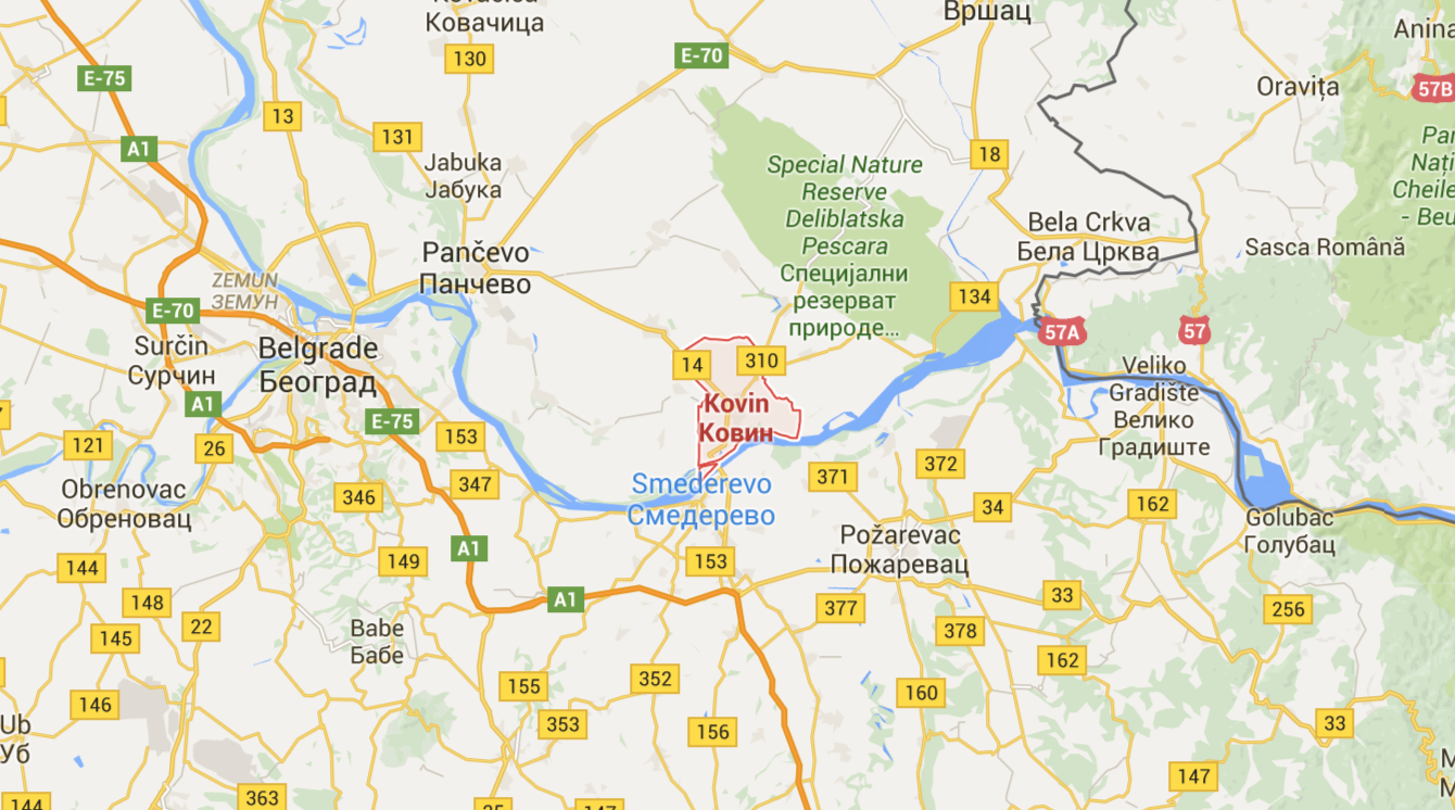 Tangled Roots and Trees: In the Heart of the Balkans