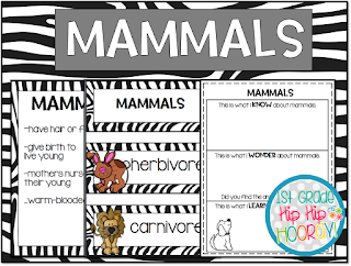 1st Grade Hip Hip Hooray!: Let's Discover ... Mammals!