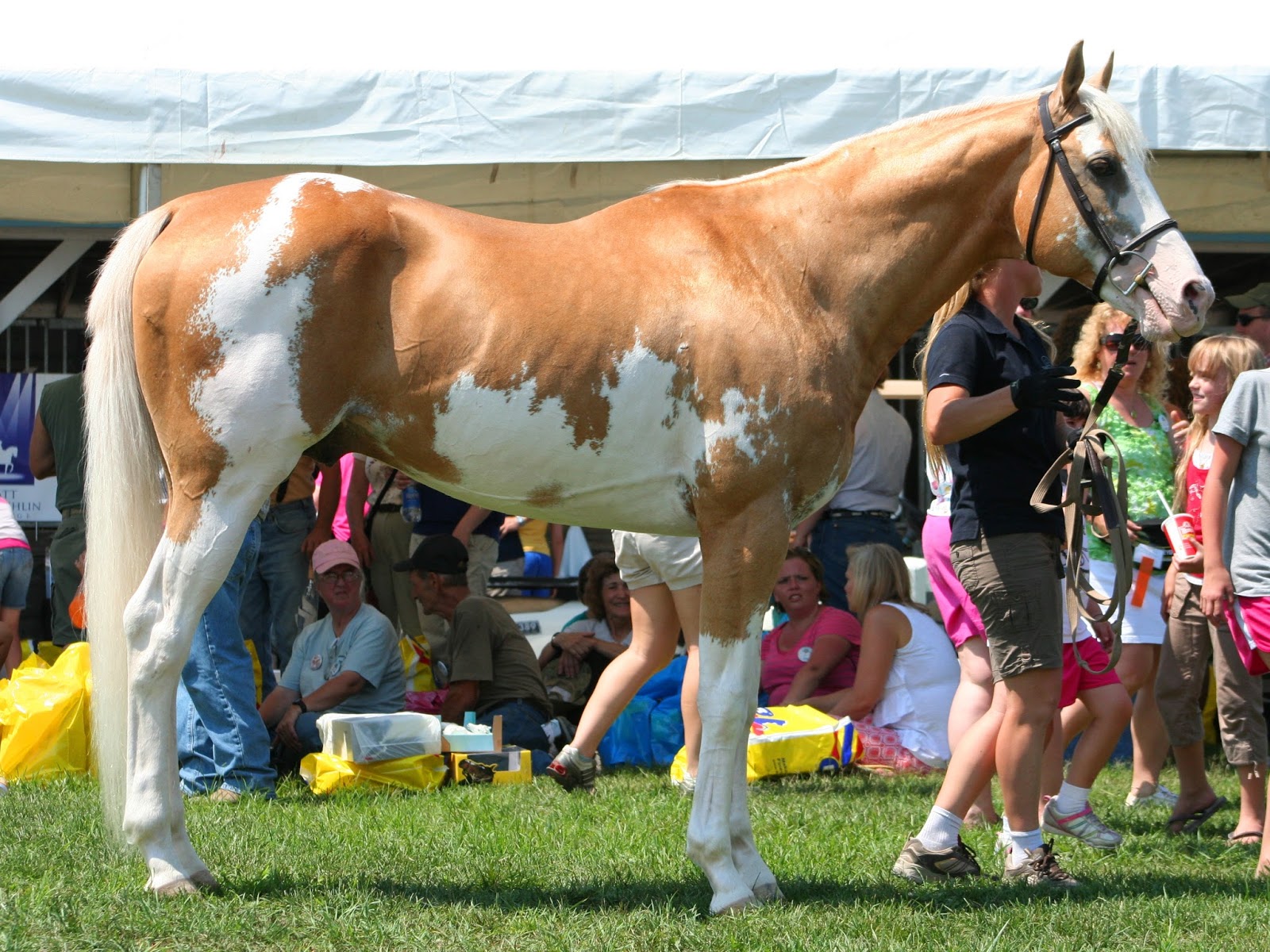 Knight's Tale Studio: When in Doubt, Document