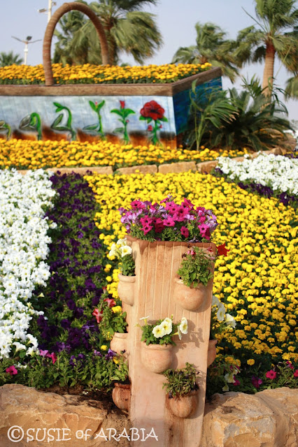 SUSIE of ARABIA: Yanbu Flower Festival 2016