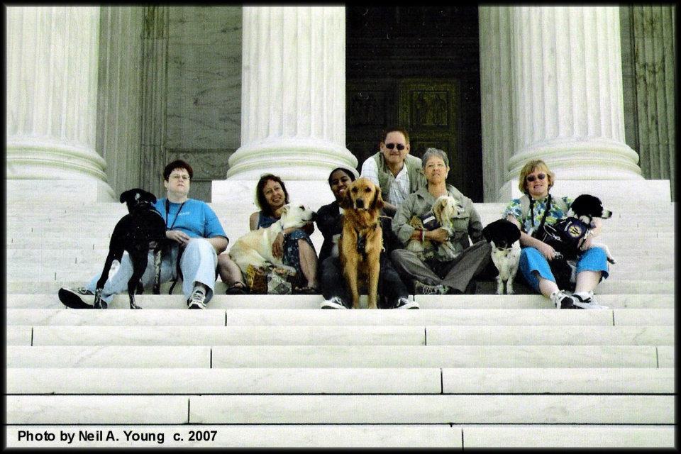 My Border Collie, Rowena: Trials & Tribulations of a Psychiatric ...