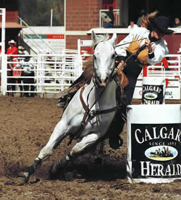 THE CALGARY STAMPEDE FROM CALGARY, CANADA!!