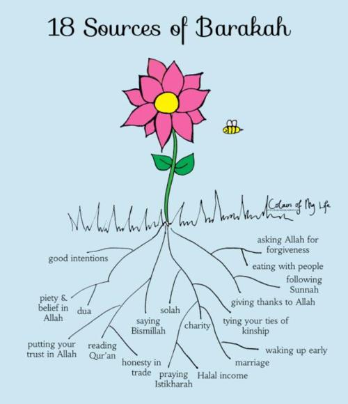 Looking On The Bright Side: :: 18 Sources of Barakah