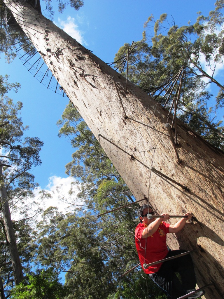 One day at a time: Perth to Albany: Via Busselton and Pemberton