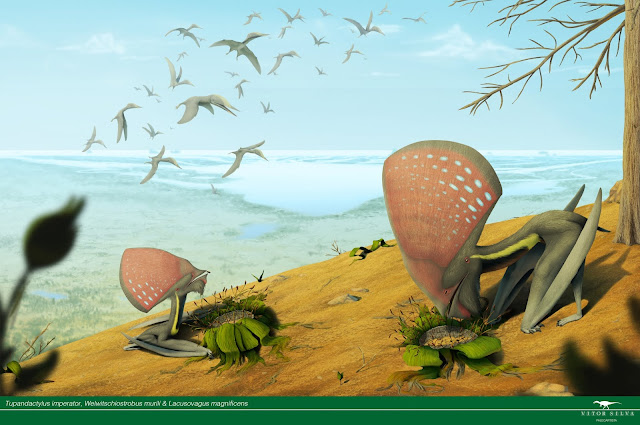 Vitor Silva - Paleoartista: Formação Crato