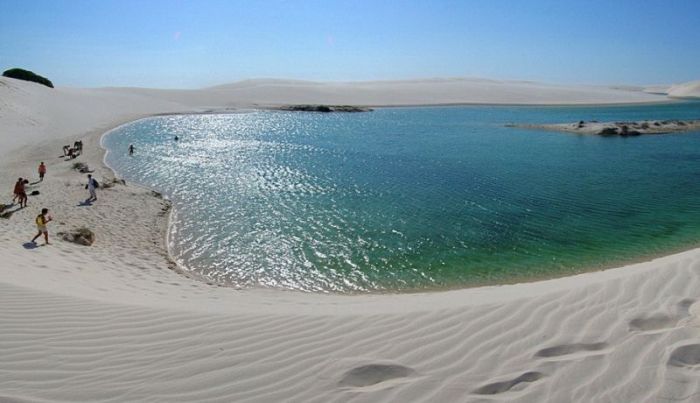 Wonderful Ocean Animal: The Brazil Desert Beach