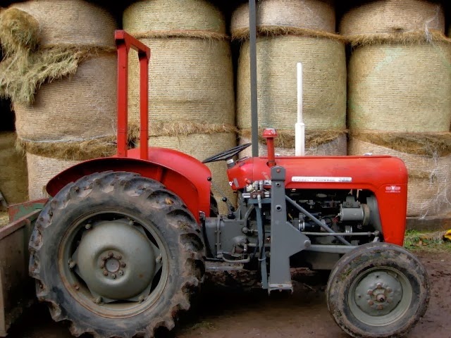 up the garden path:: the only ffactor with a tractor