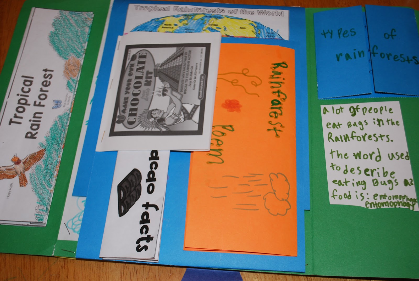 Our Creative Day: Rain Forest Lapbook - 2nd Grade