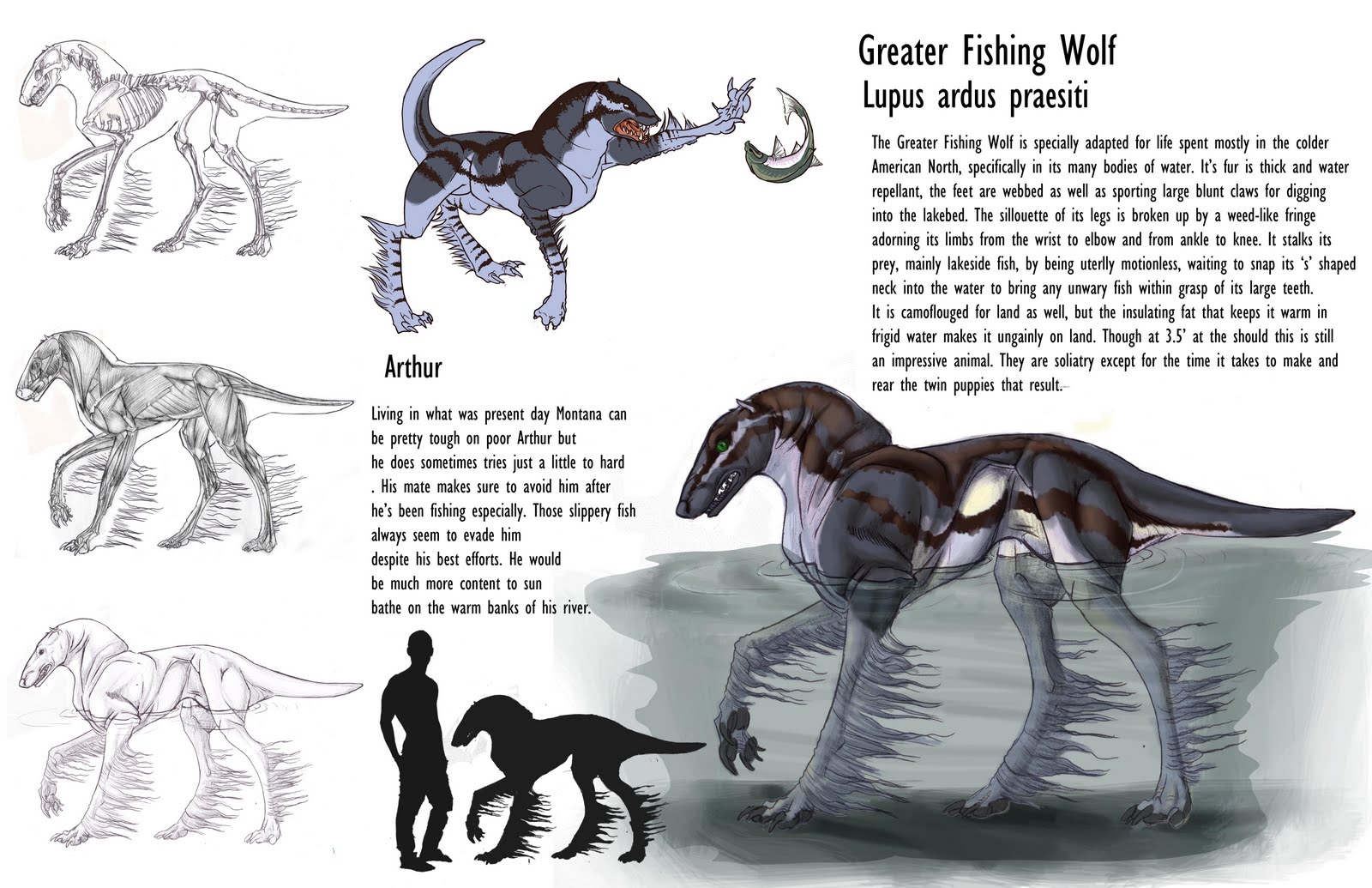 A Creature Artist's Sketchblog: Creature Design with Terryl Whitlatch