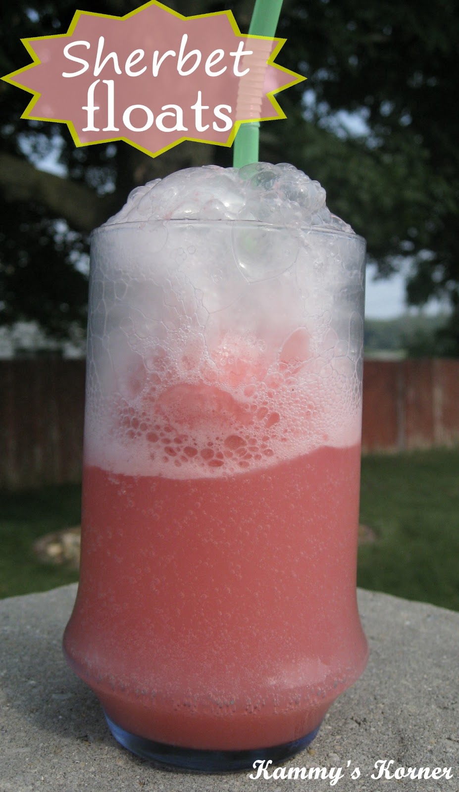 Kammy's Korner: Raspberry Sherbet Floats