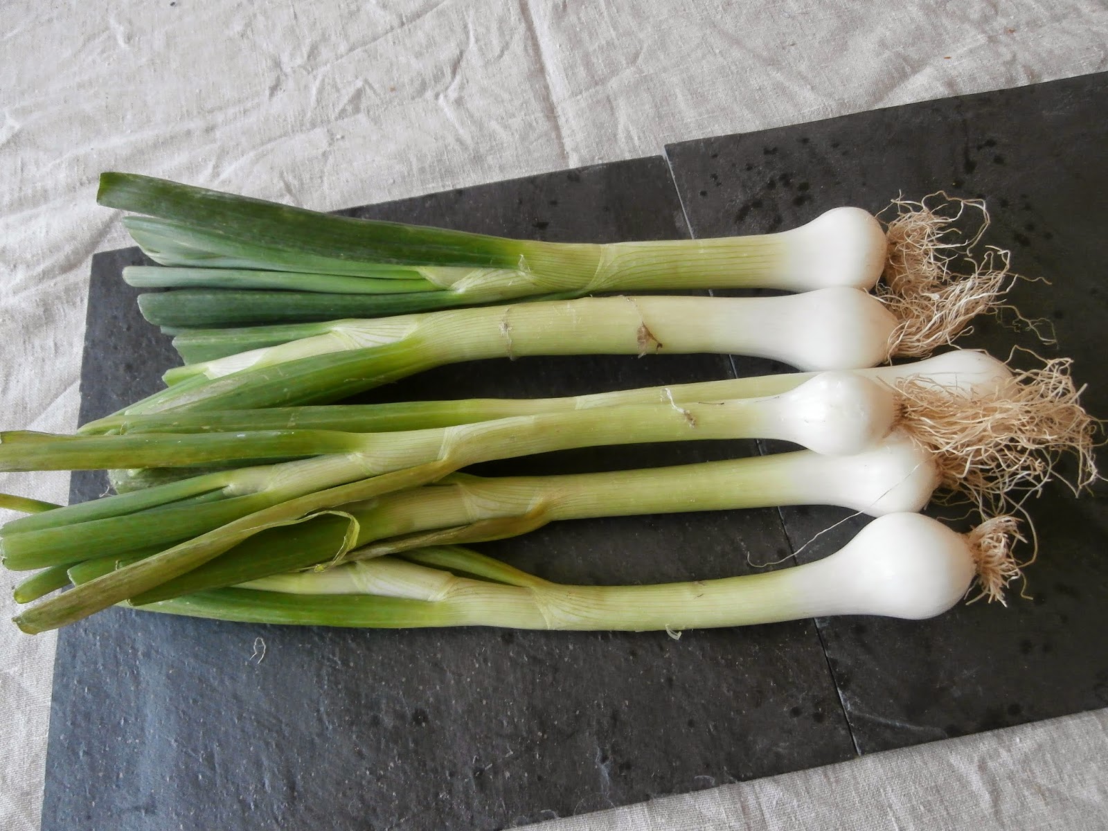 My Culinary Curriculum: Poêlée de légumes (navets nouveaux, oignons ...