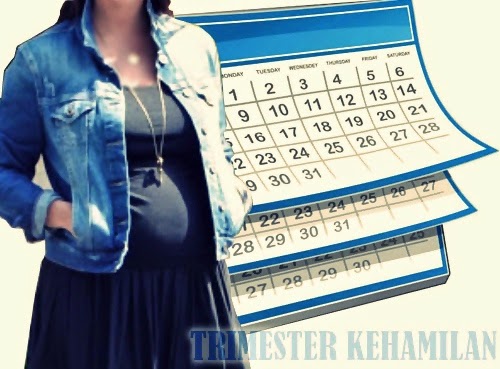 5 Cara Mudah Menghitung Usia Kehamilan | Bumil Balita