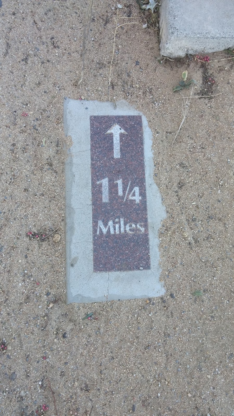 Riverside Moms and She Runs This Town