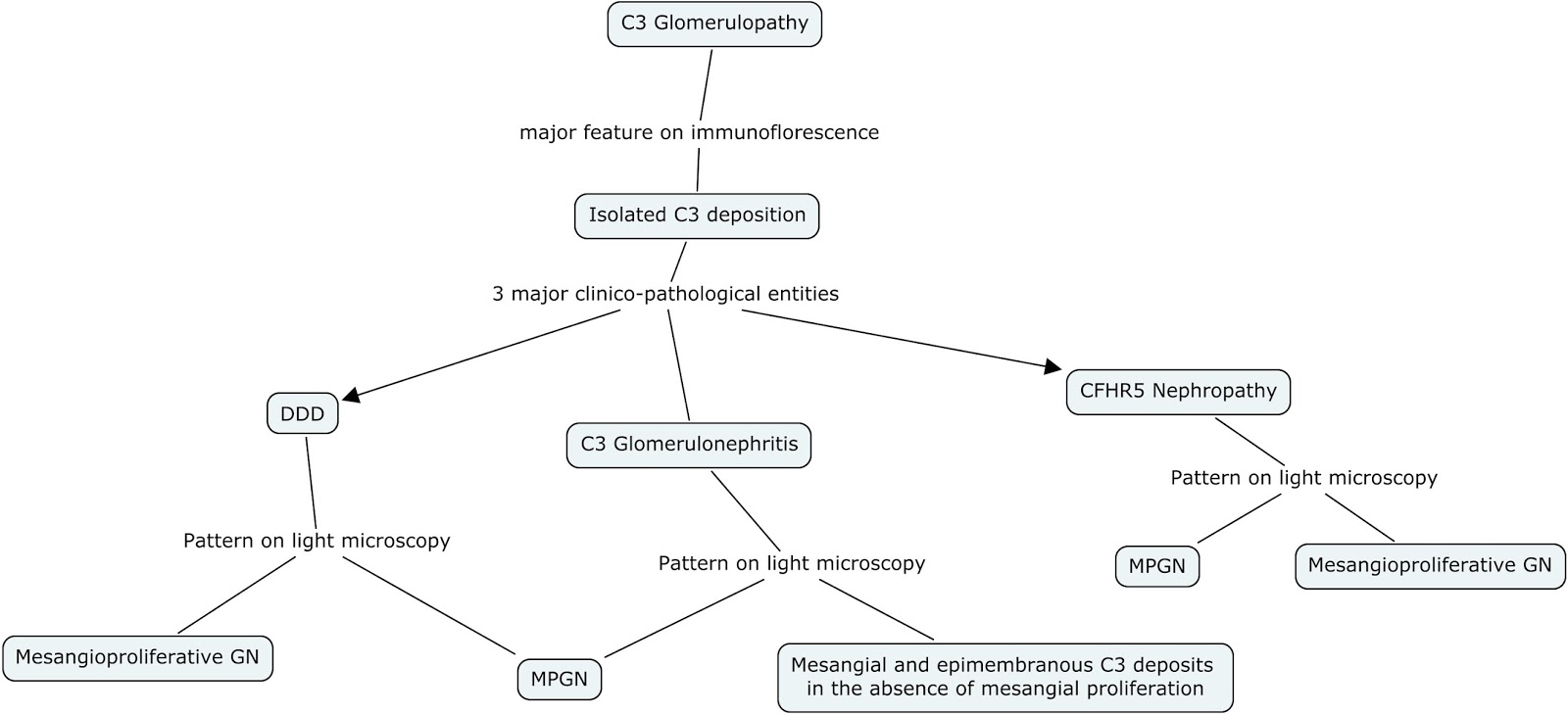 Nephron Power: Concept map: C3 Glomerulopathy