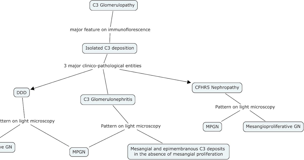Nephron Power: Concept map: C3 Glomerulopathy