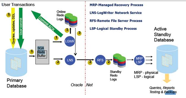 Oracle DBA: Dataguard - Oracle 11g R2