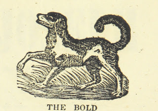 The Pet Museum: the lives times art and history of our pets: a list of ...