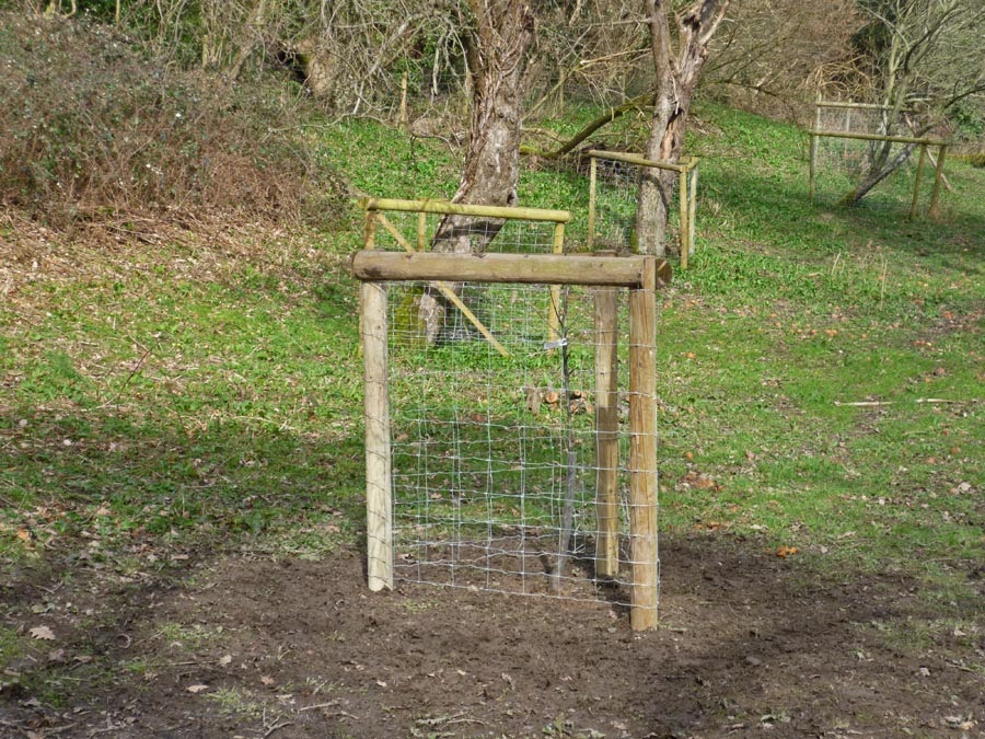 Worcestershire Wildlife Trust Volunteers: Monolith trees at the Knapp