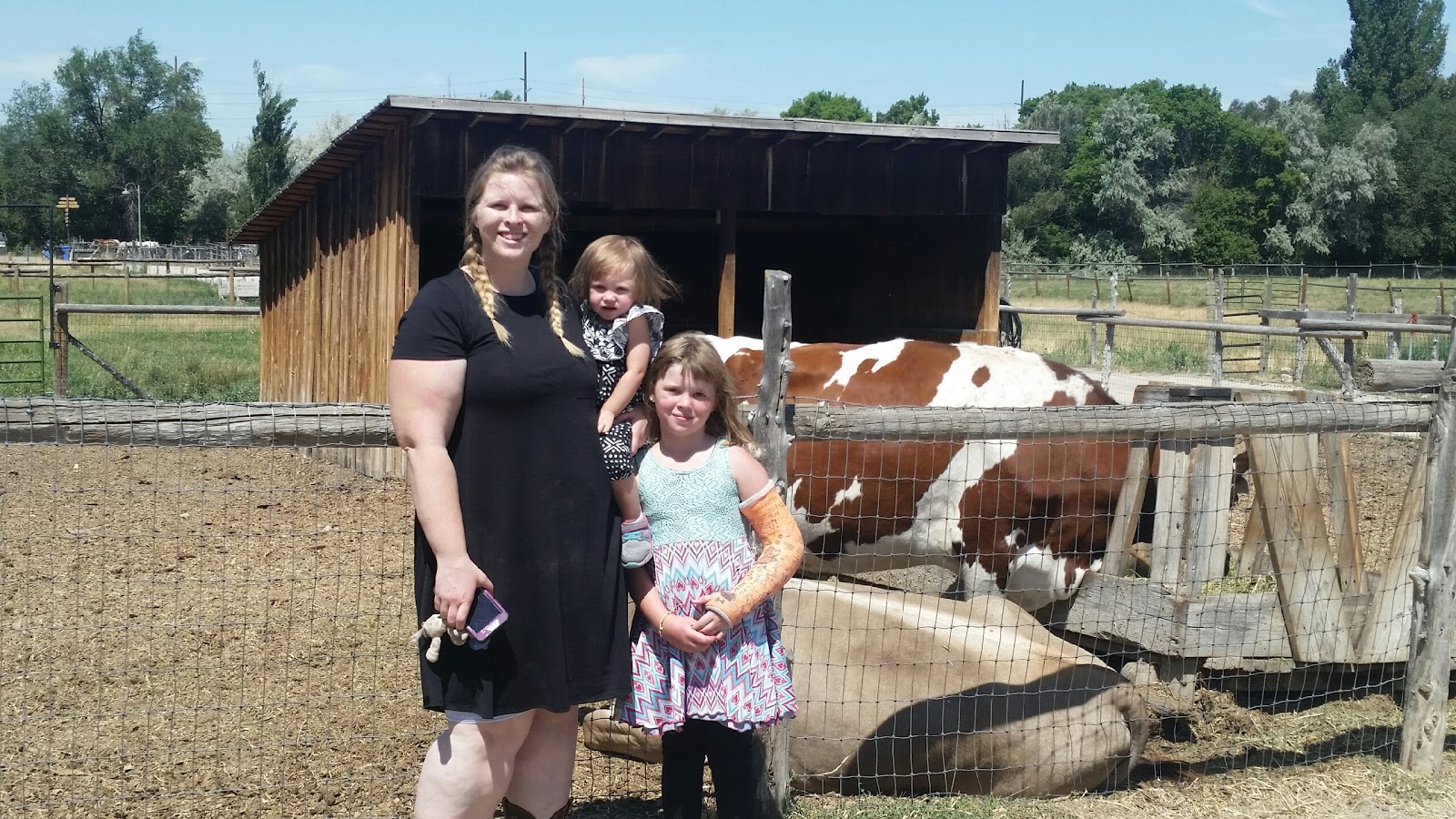 Twelve Makes a Dozen: Happy Cow Day!