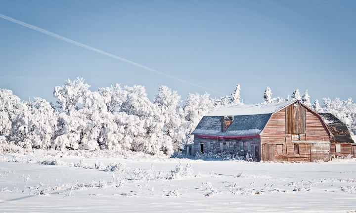 Carla Dyck Photography: Prairie Winter