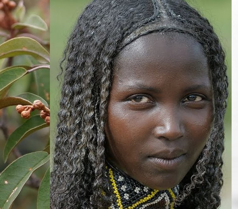 I TRIED CHEBE POWDER- AND LOVED IT!!! HERE'S WHY!! | NAIJA HAIR CAN GROW