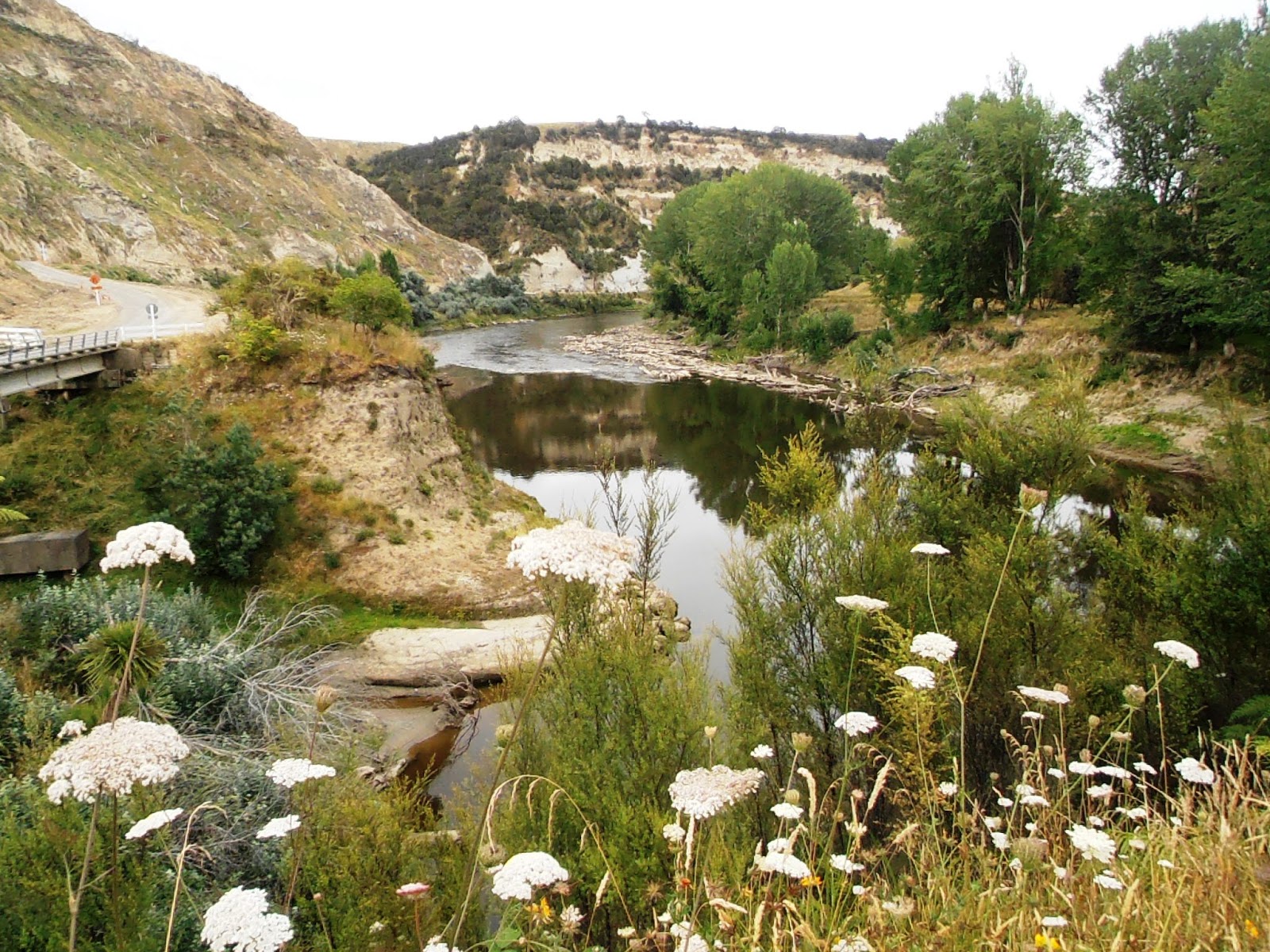 Our New Zealand Gypsy Travel Life: 14 February 2017 - Parua Bay, Northland