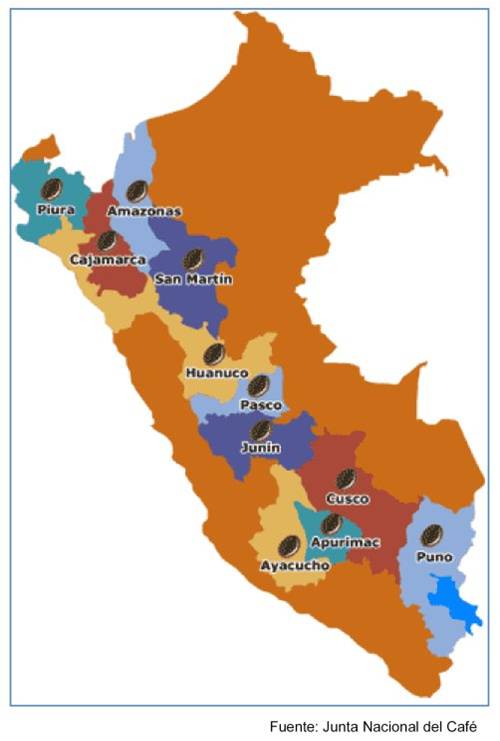 Exportación de Café a Alemania: Zonas de producción de café en el Perú