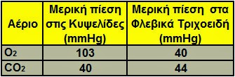 dive-corner: Διοξείδιο του άνθρακα (CO2) και η επίδρασή του στην κατάδυση
