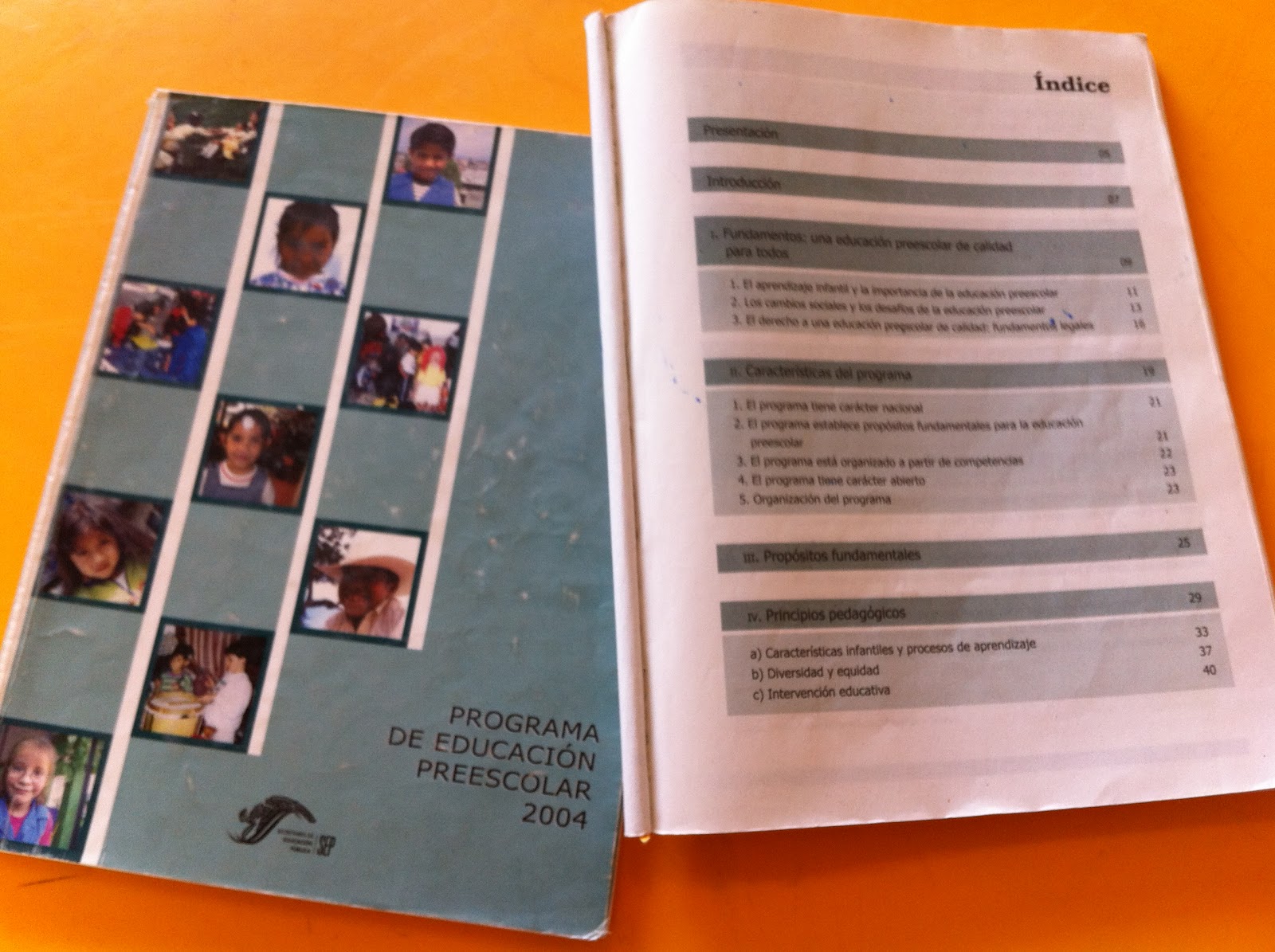 Una mirada atrás: Programa Educación Preescolar 2004