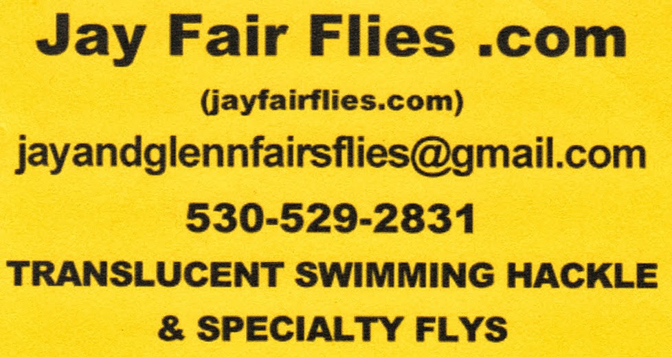 Jon Baiocchi Fly Fishing News: Product Review - Jay Fair Swimming Hackle