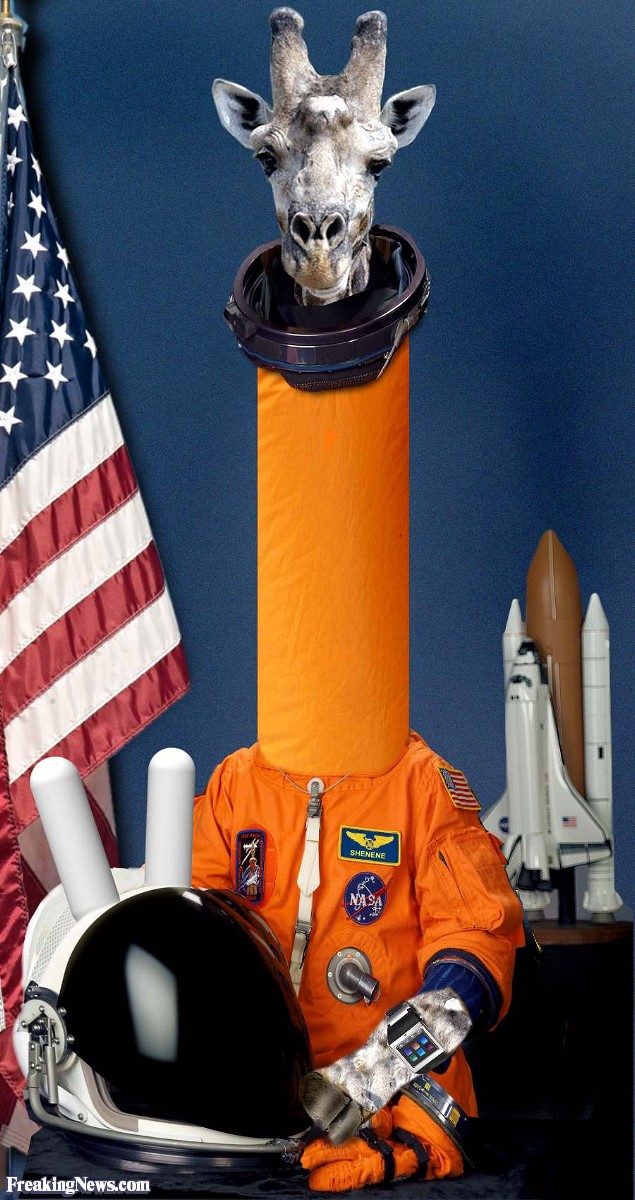 Squirrels At A Rave: It's getting hot in here