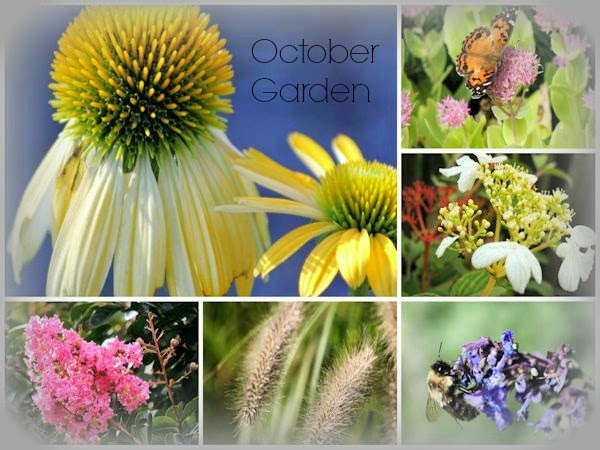 A GUIDE TO NORTHEASTERN GARDENING: Garden Bloggers' Bloom Day & Foliage ...