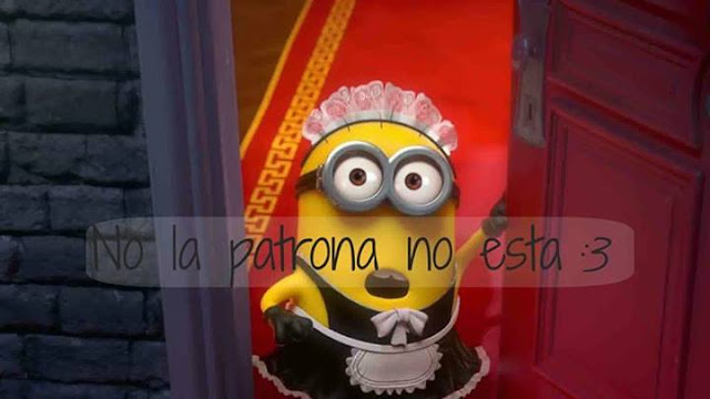 Minion - Miniones - Imagenes - Frases: La patrona no esta minion