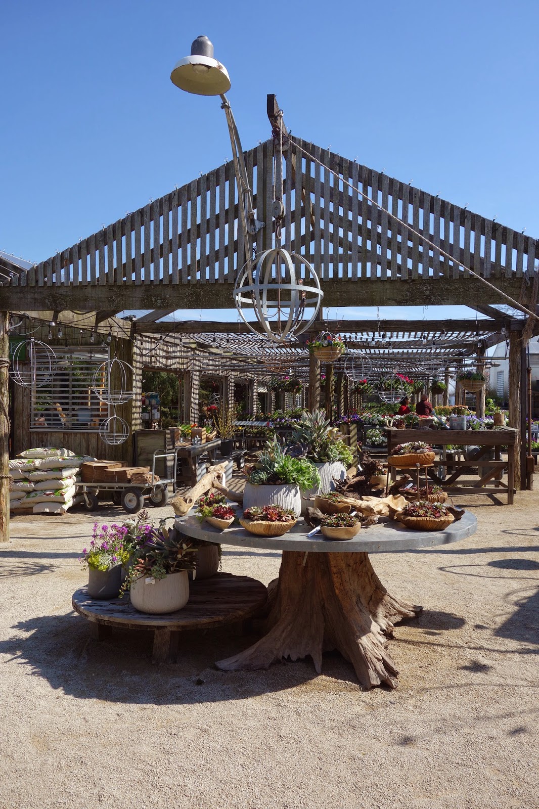 blah to TADA!: Terrain at Styers