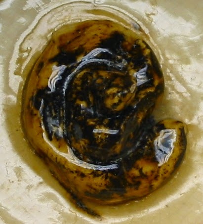 LauraGarnet: Chamber Pot with Poo