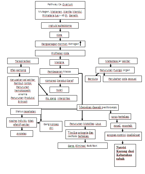 narera, kumpulan LP: LP dan Askep ca ovarium