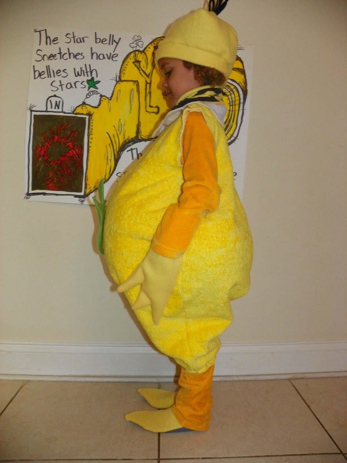 Sneetches Costume