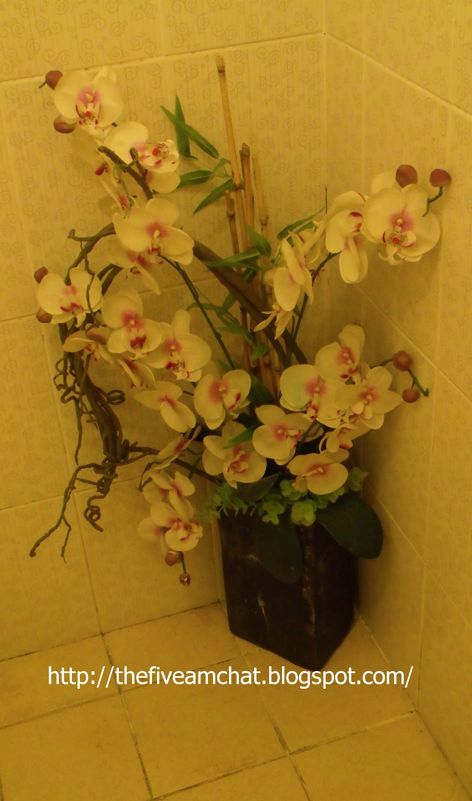 The Early Morning Chat: Petra and Pepita Encarnacion Group of Salon