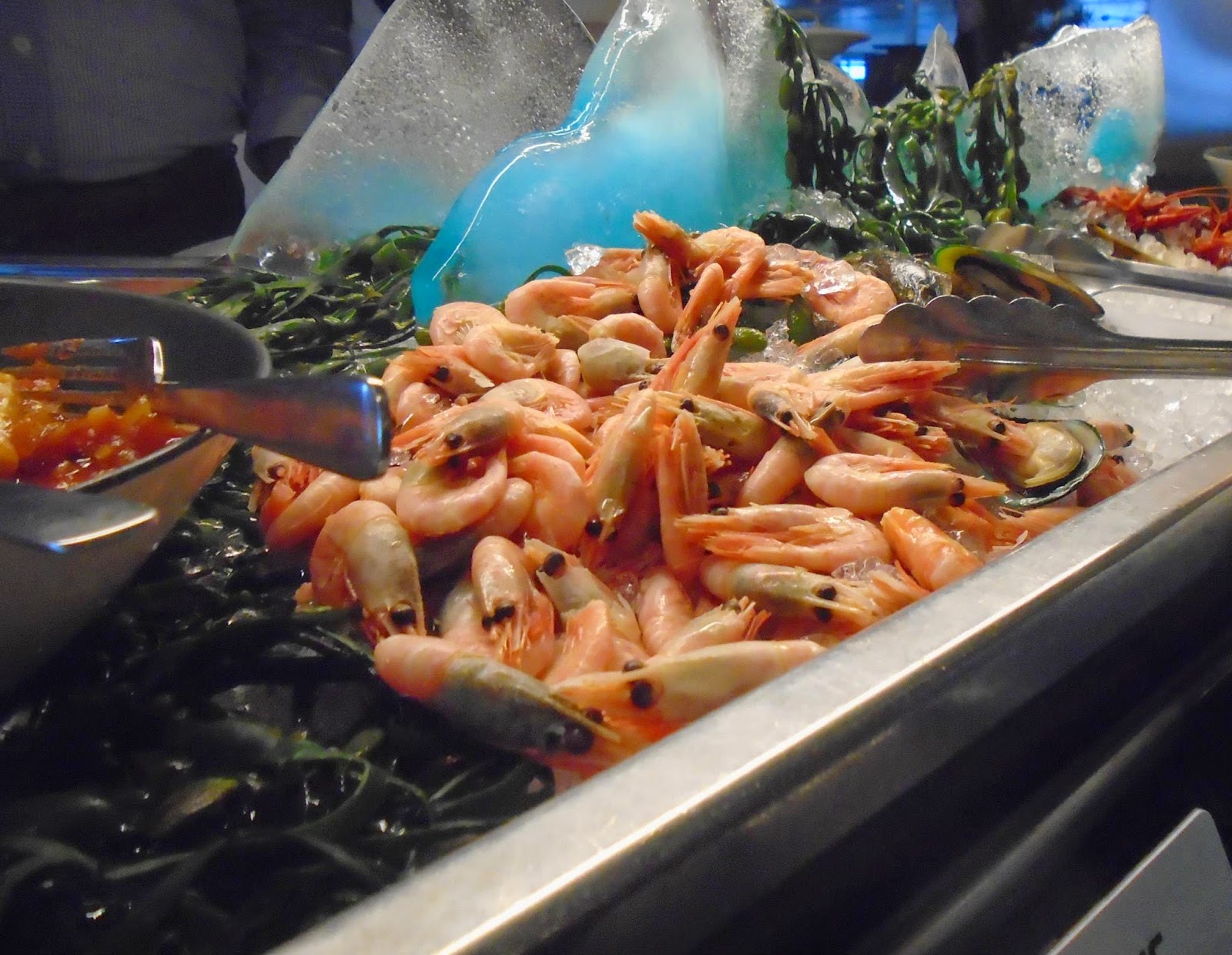 Amsterdam Zoo with DFDS Seaways | North East Family Fun