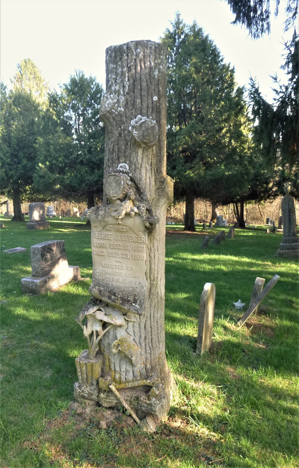 Detritus of Empire: Tree Shaped Tombstones - A Classic near Fountain ...