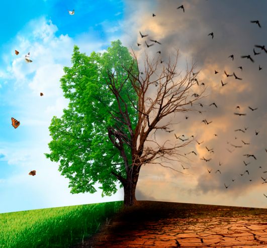 Estudio Biblia: DEVARIM 28: Bendiciones y Maldiciones