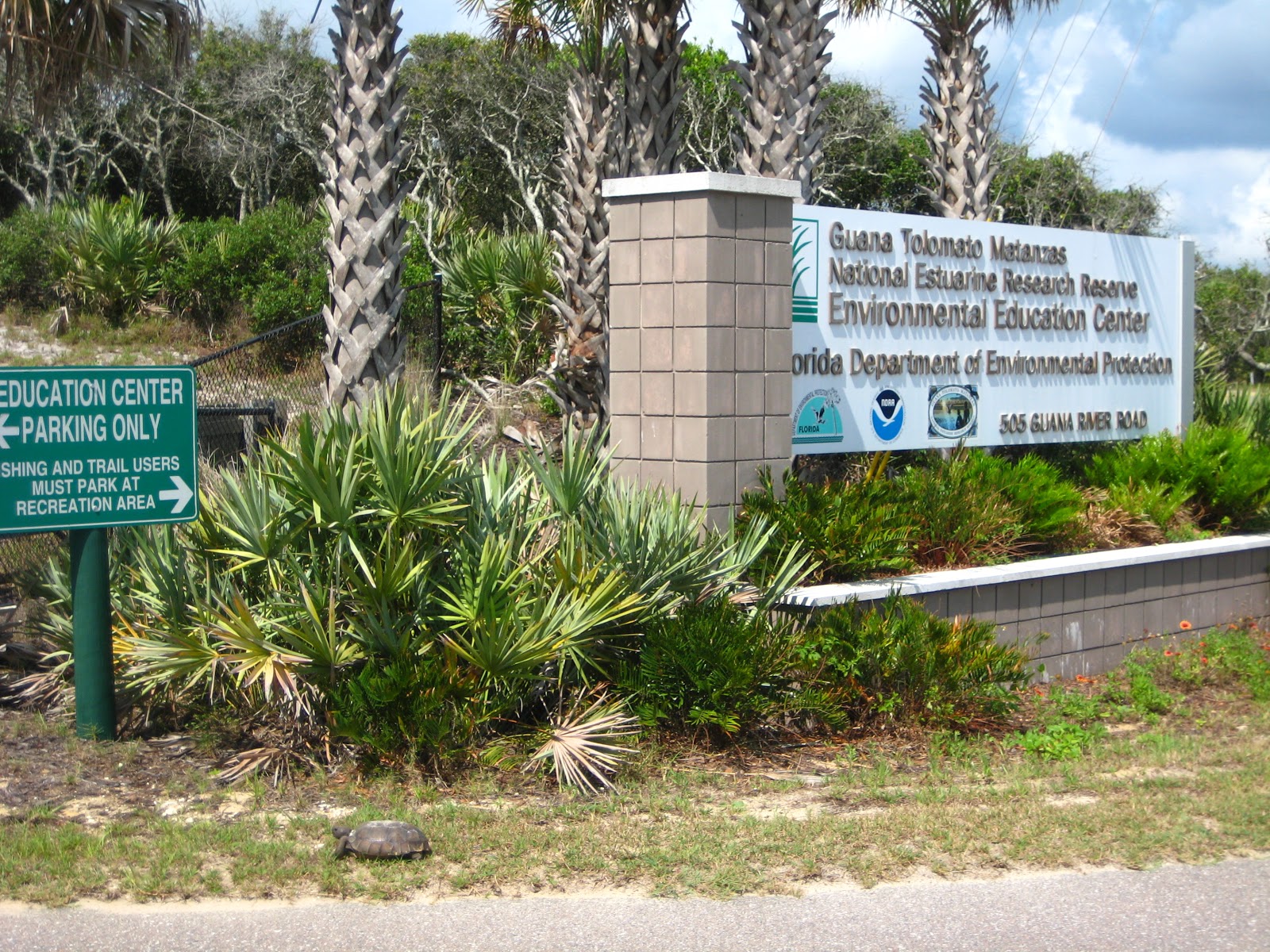 GTM Research Reserve: Gopher Tortoises Share Digs With Other Endangered ...