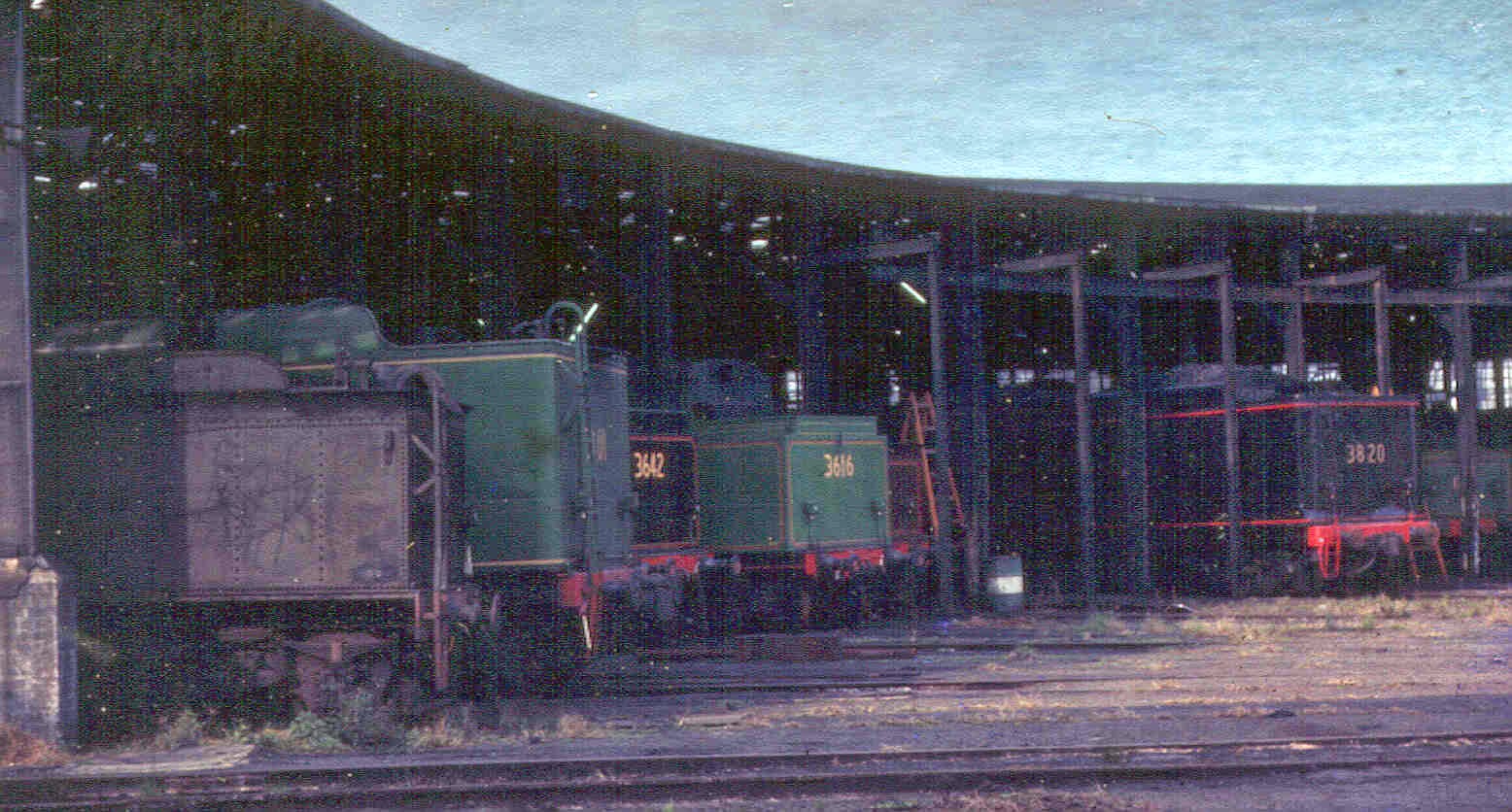 NSW Rail Rambler: Enfield's survivors