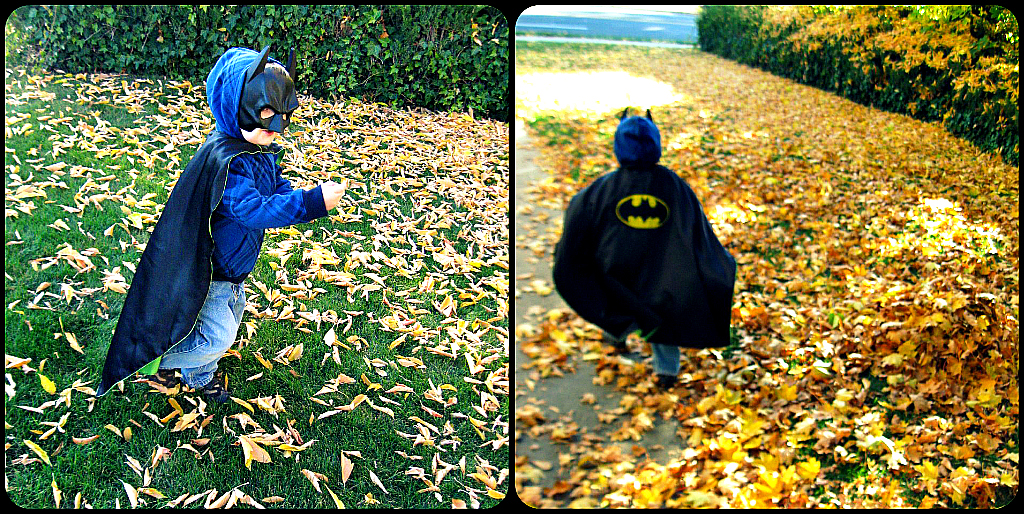 Batman-Superhero Cape