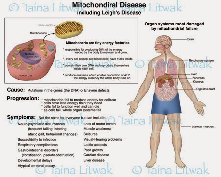 CATECHIZE: Mitochondrial Diseases their Types, Diagnosis & Treatment ...